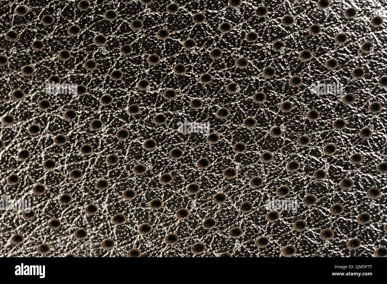 Pattern of silver perforated skin background close up view Stock Photo ...