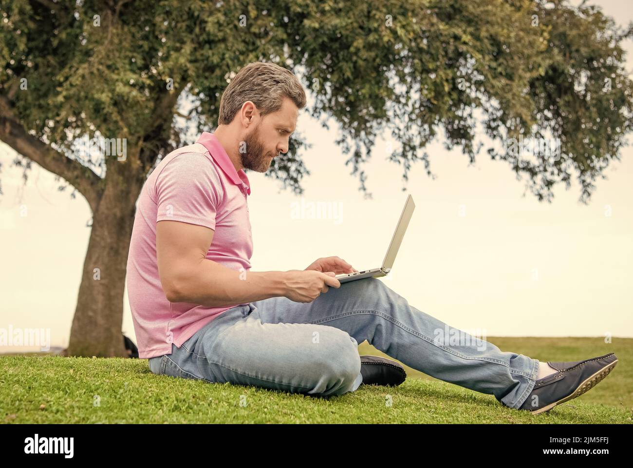 concentrated businessman using laptop for blogging on green grass, work ...