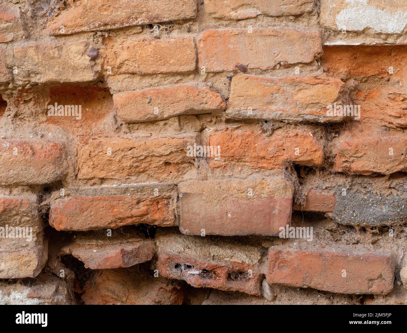 A closeup of a wall texture background Stock Photo - Alamy