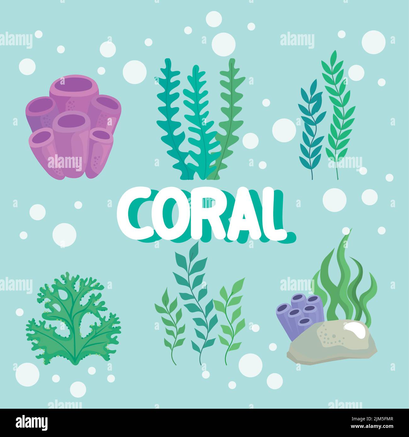 coral lettering and seaweed Stock Vector Image & Art - Alamy