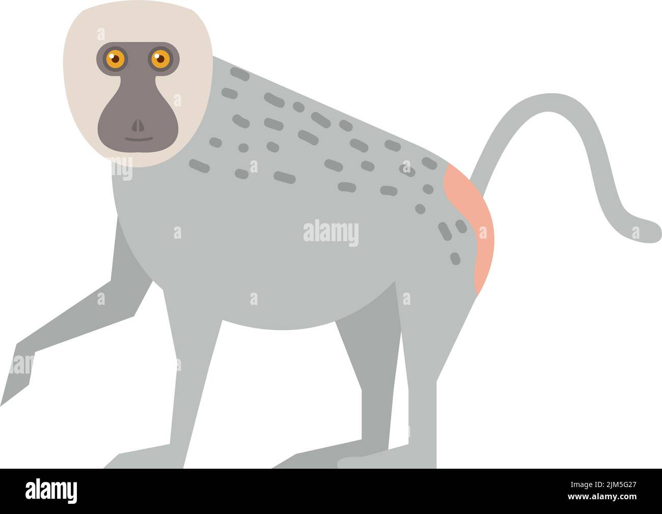 baboon monkey animal Stock Vector Image & Art - Alamy