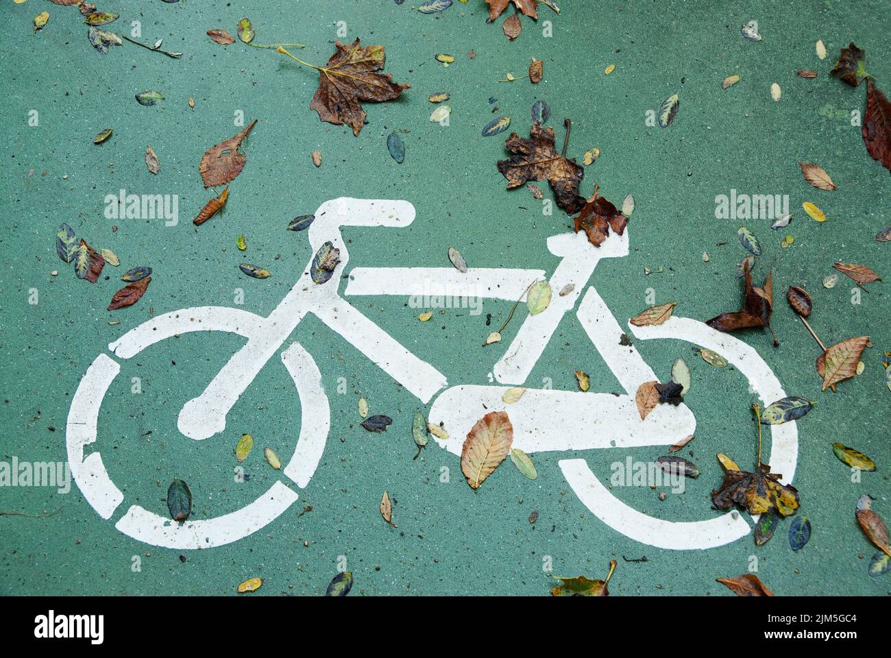 A bicycle sign in a park covered with fallen autumn leaves Stock Photo ...