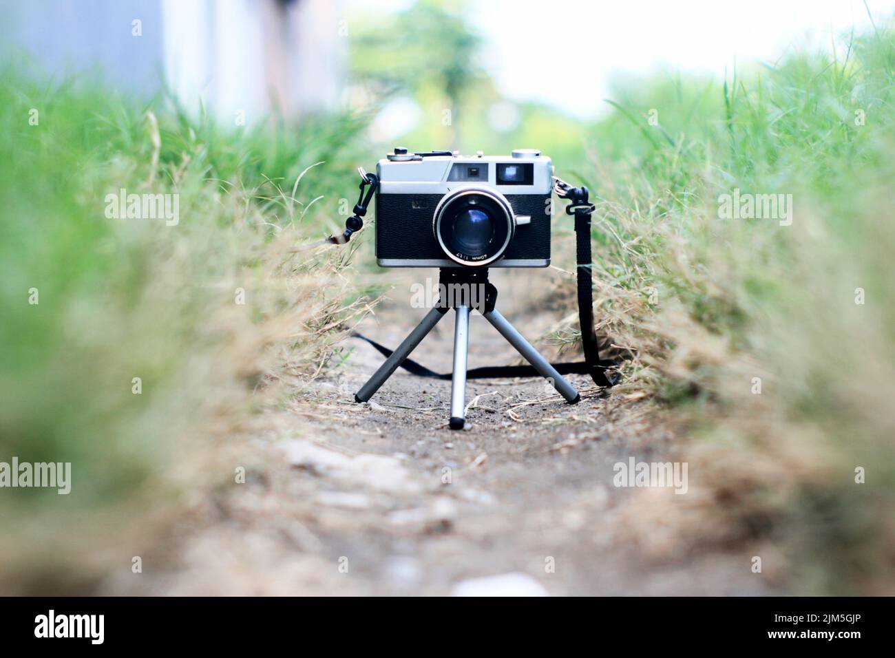 Close up rangefinder camera in mini tripod Stock Photo - Alamy