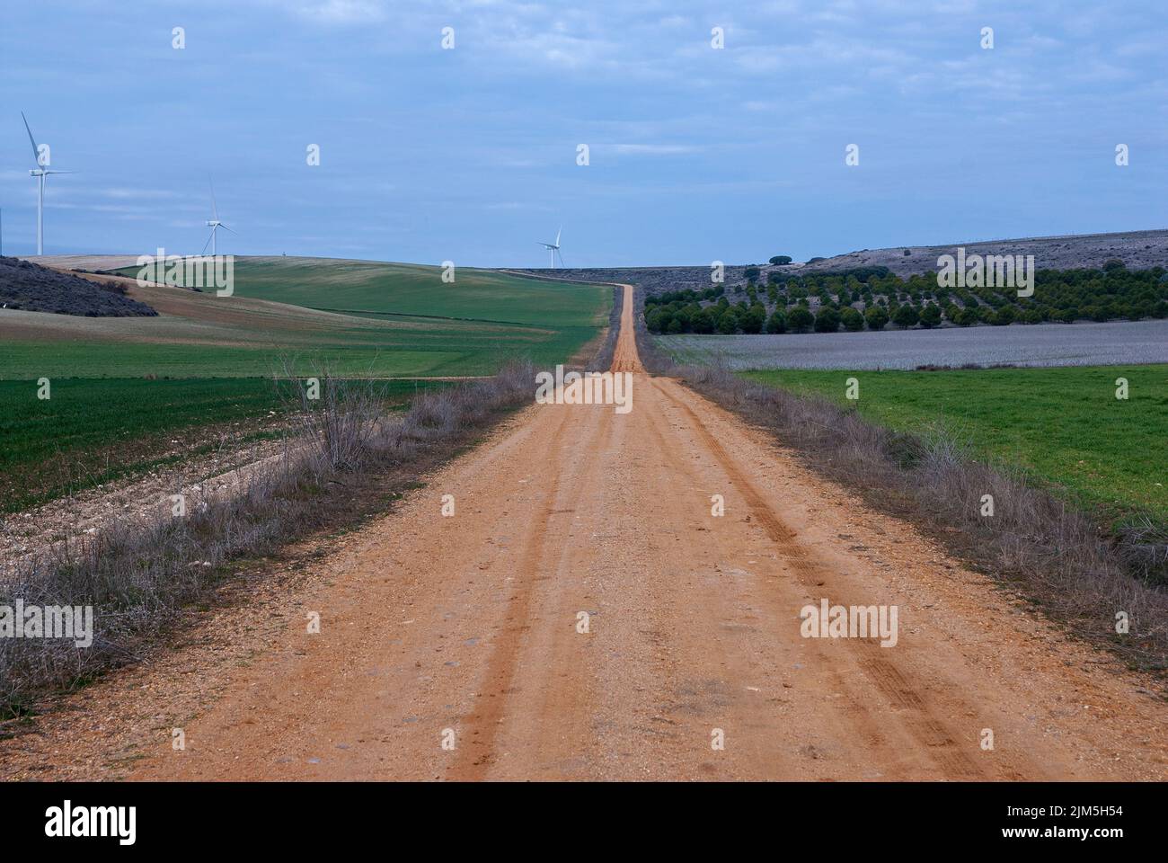 A Rural landscape in a farm with sands road and a cloudy sky of Spanish ...