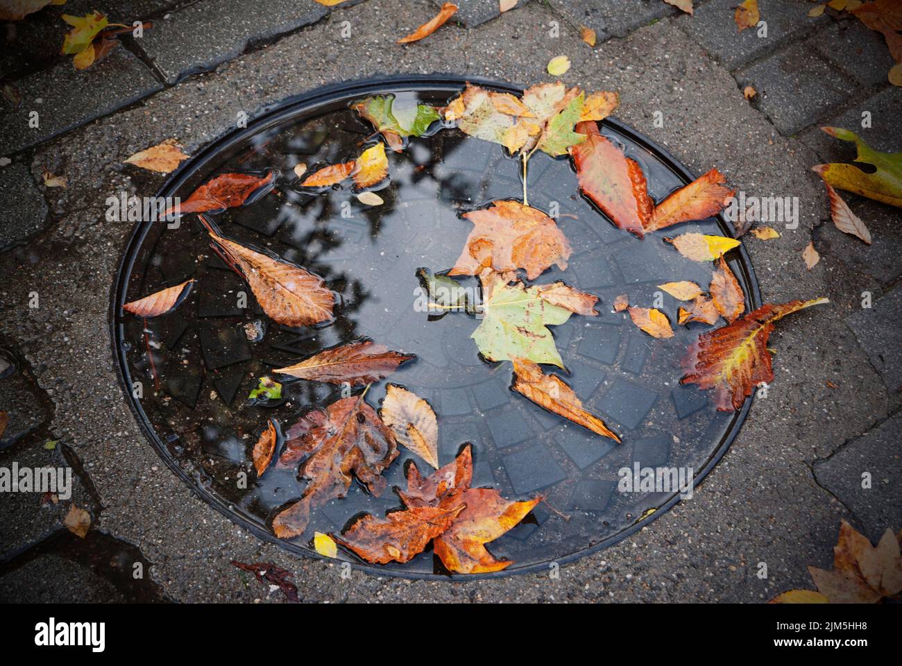 A top view of an iron manhole cover covered with rainwater and colorful ...
