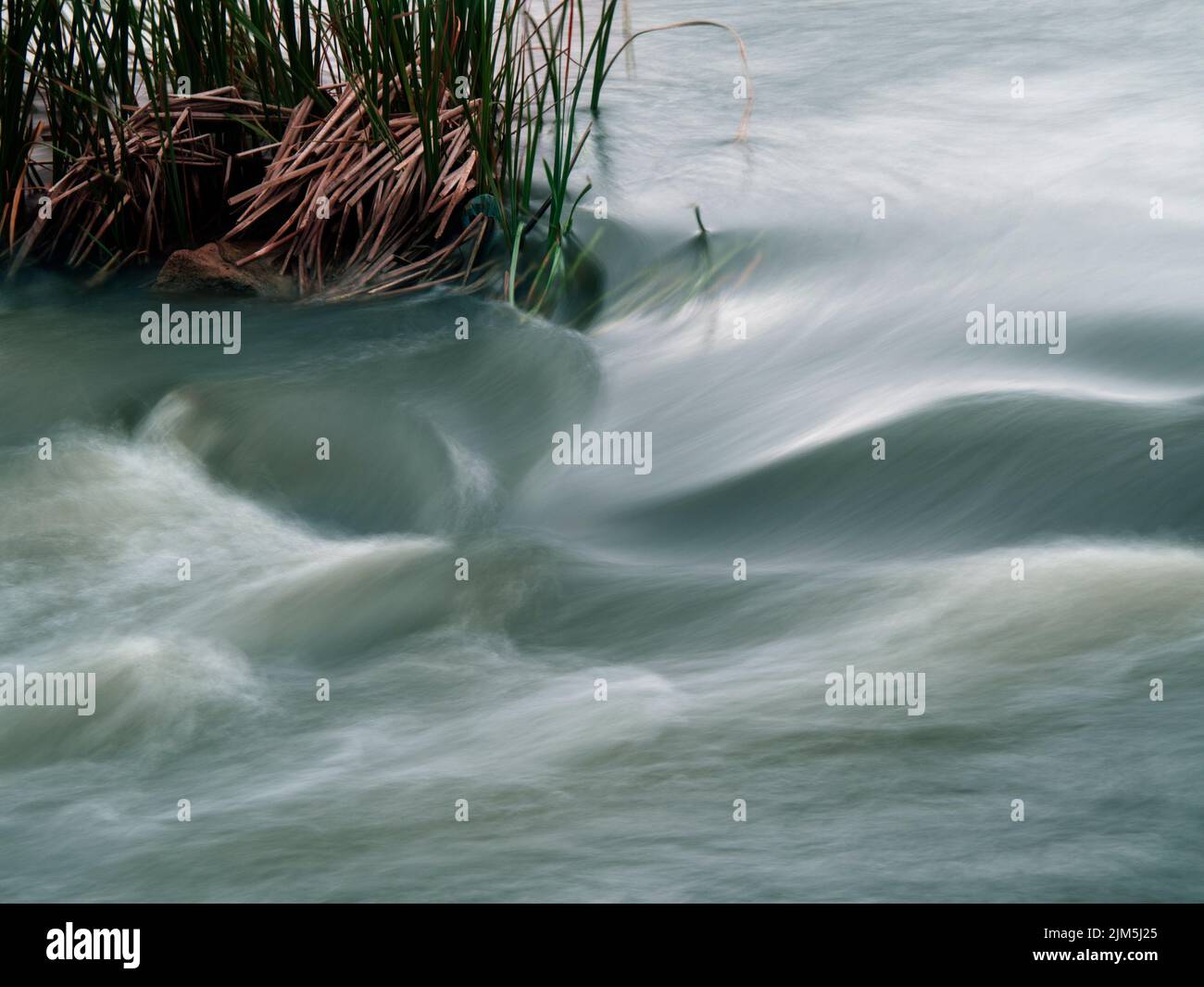 A close up shot of a stream of water on a background of a grass Stock ...