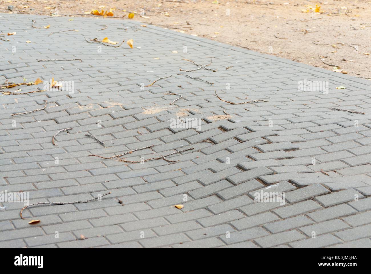 A horizontal shot of a bumpy asphalt covered with branches of a tree ...