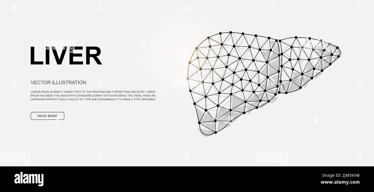 Liver 3d low poly symbol for landing page template. Hepatitis design illustration. Polygonal ...