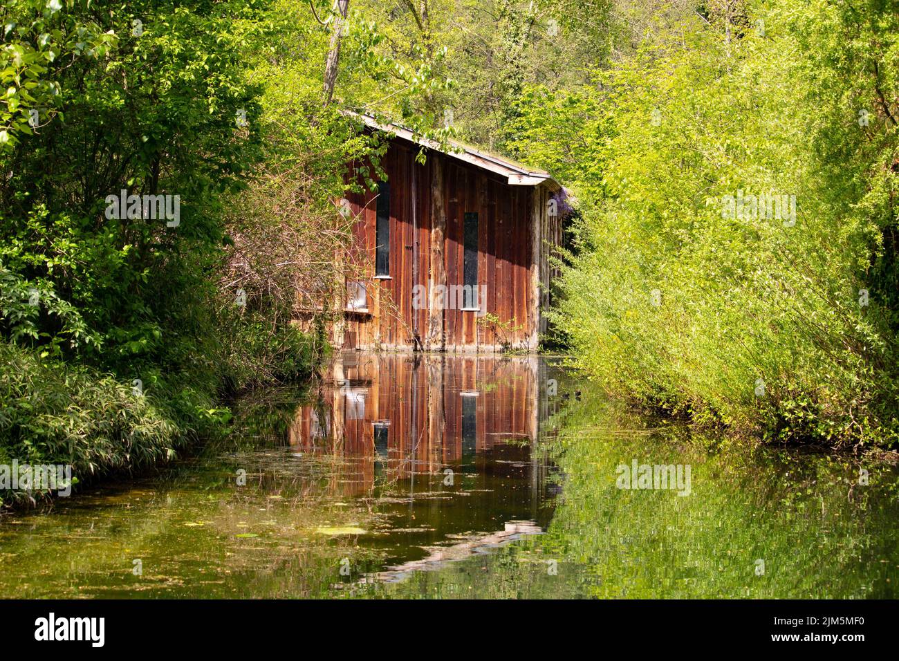 A view of abandoned wooden house surrounded by trees near water Stock ...