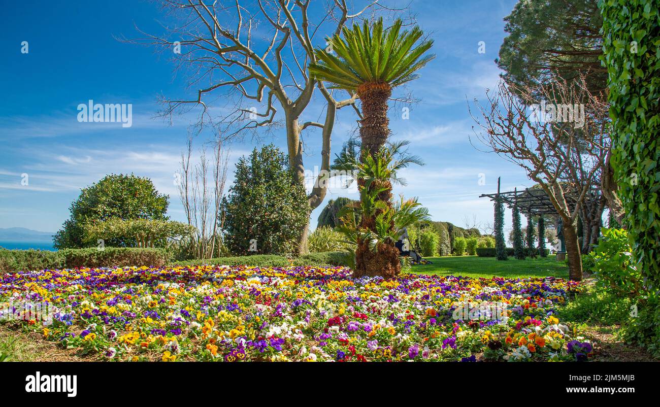 Landscape of colourful flowers and palm trees on the Amalfi coast of ...