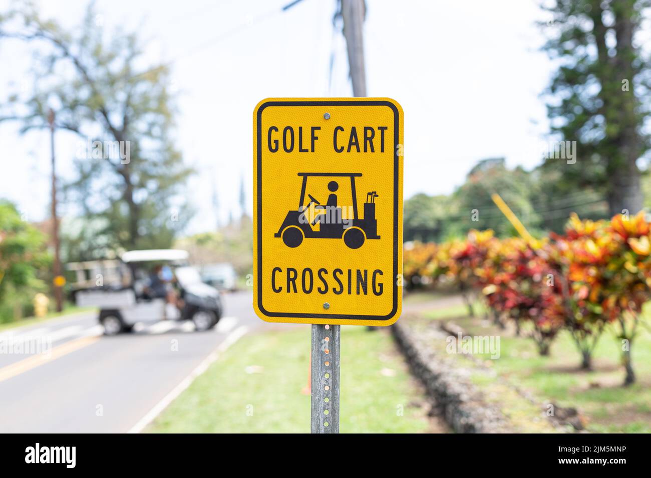 A Golf Cart Crossing sign with a golf cart crossing the road in the ...