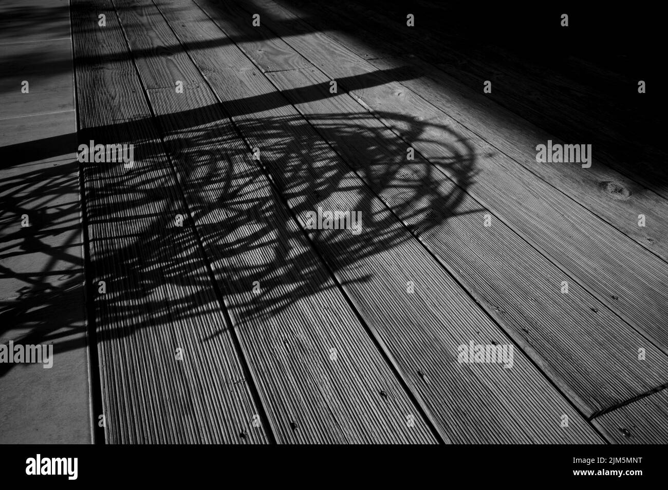 the sun hit a ball of interwoven stick and greated this nice shadow ...