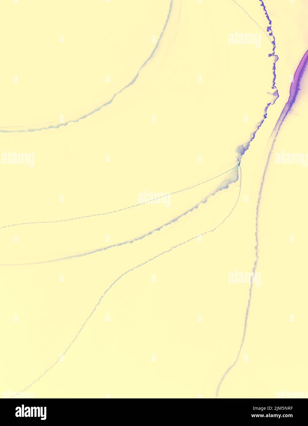 Wedding Card Design. Yellow Pastel Fluid Splash. Watercolor Color ...