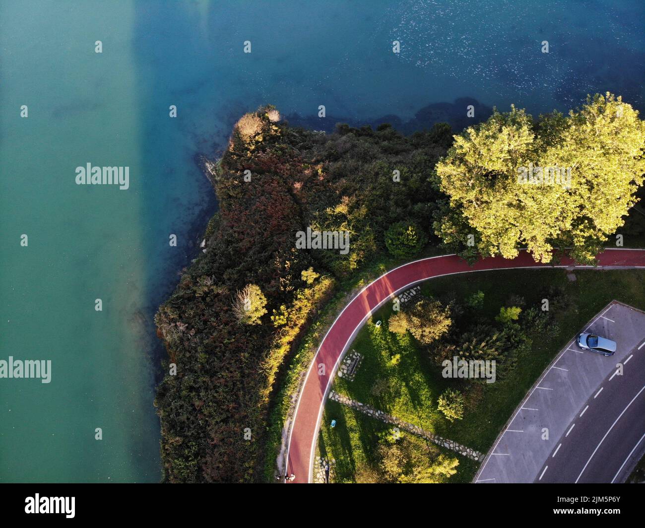 An aerial top view of a parked car, road and trees with the ocean on ...
