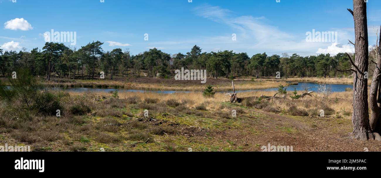 A panoramic landscape in Heijen, Netherlands Stock Photo - Alamy