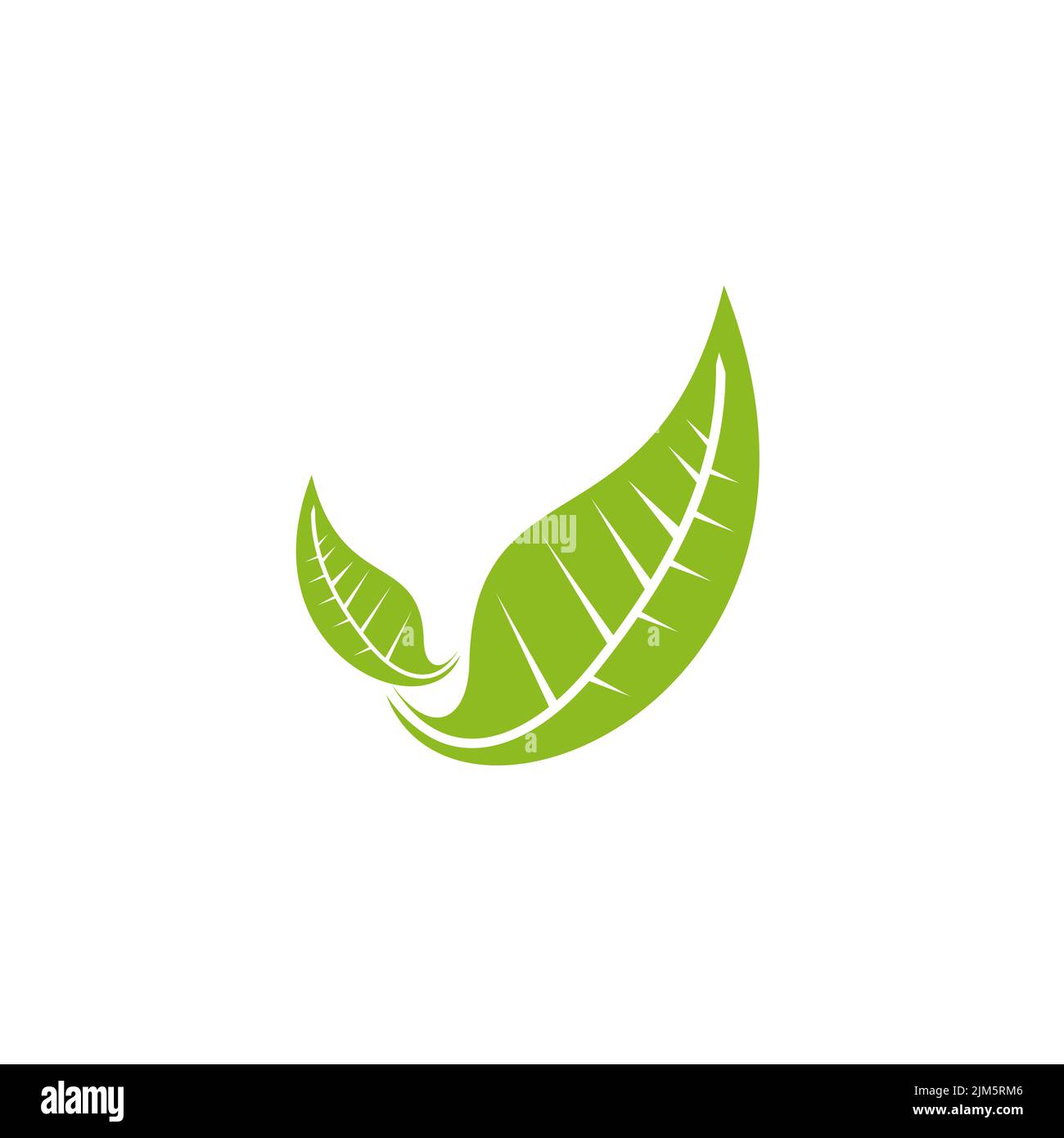 Leaf icon logo design inspiration vector template Stock Vector Image ...