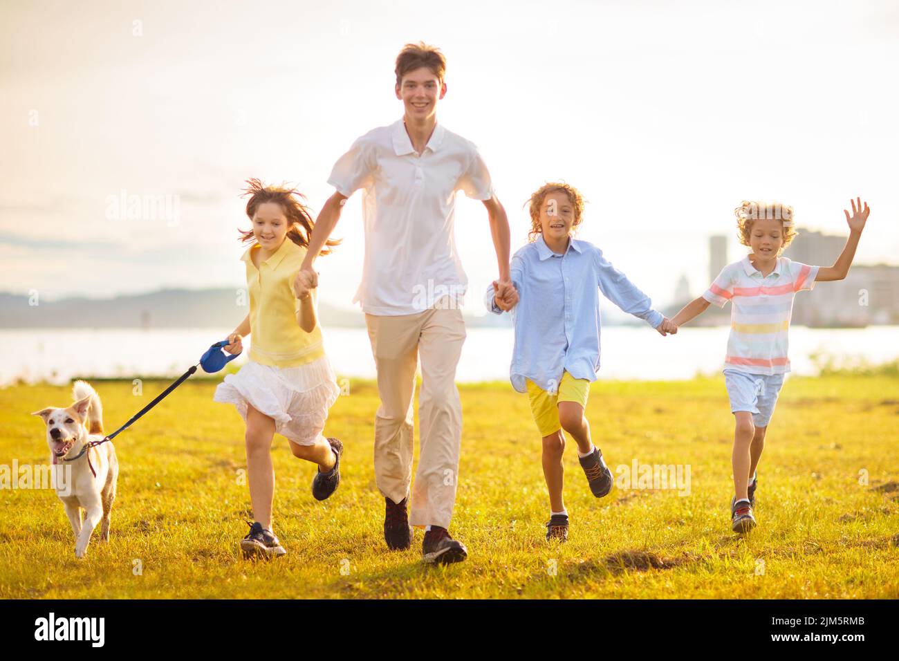 Happy dog running summer kids hi-res stock photography and images - Alamy