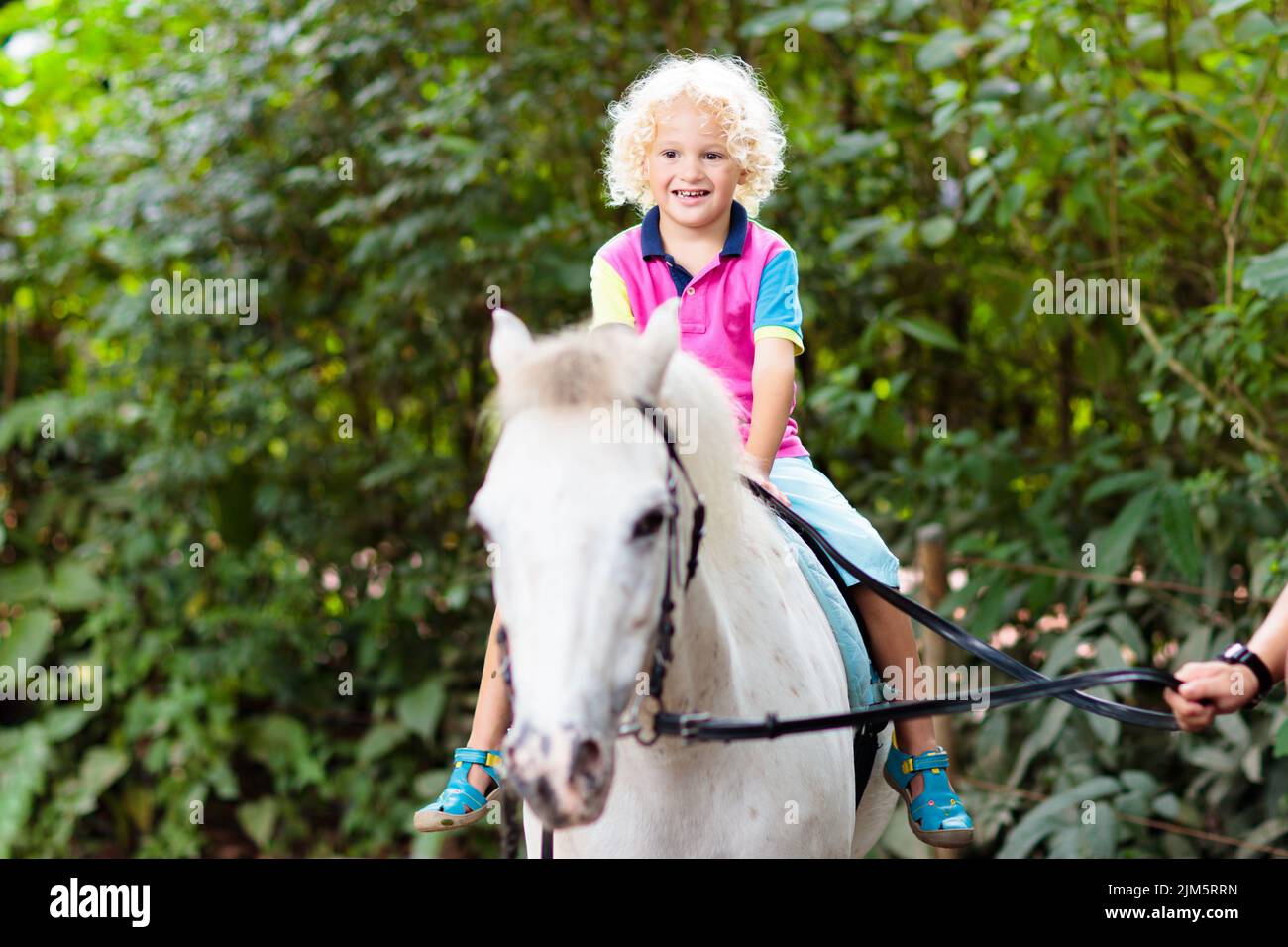Little boy riding horse on summer vacation in country ranch. Kids learn ...