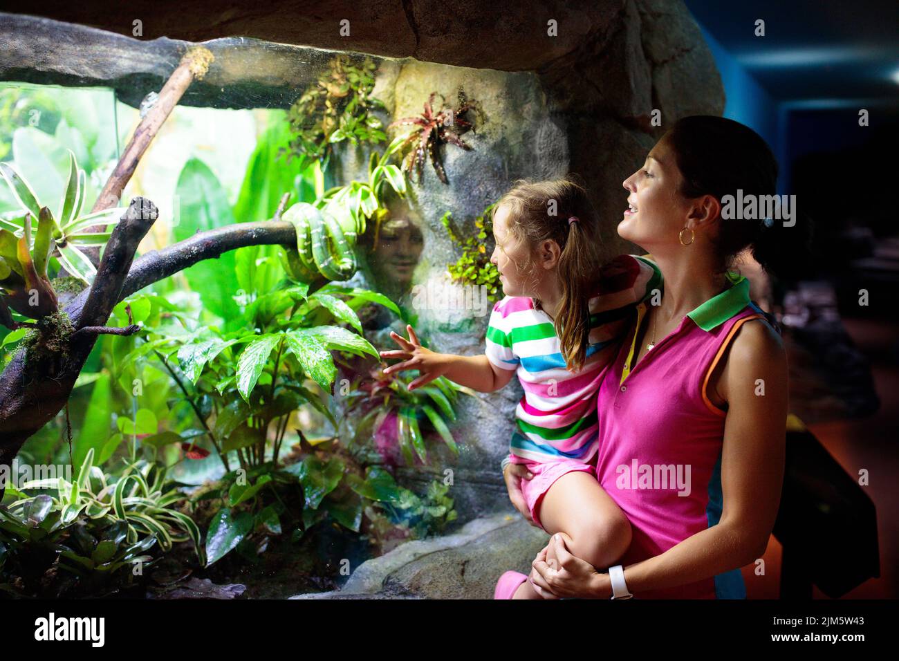 Family watching snake in zoo terrarium. Mother and child watch snakes ...