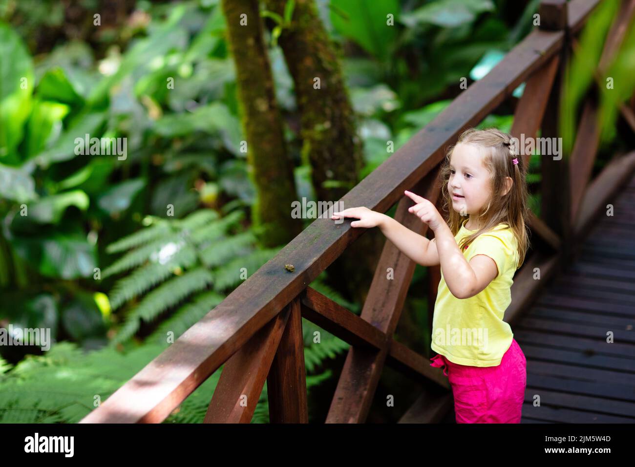 Little girl hiking in jungle. Child looking at wild orchid in tropical ...