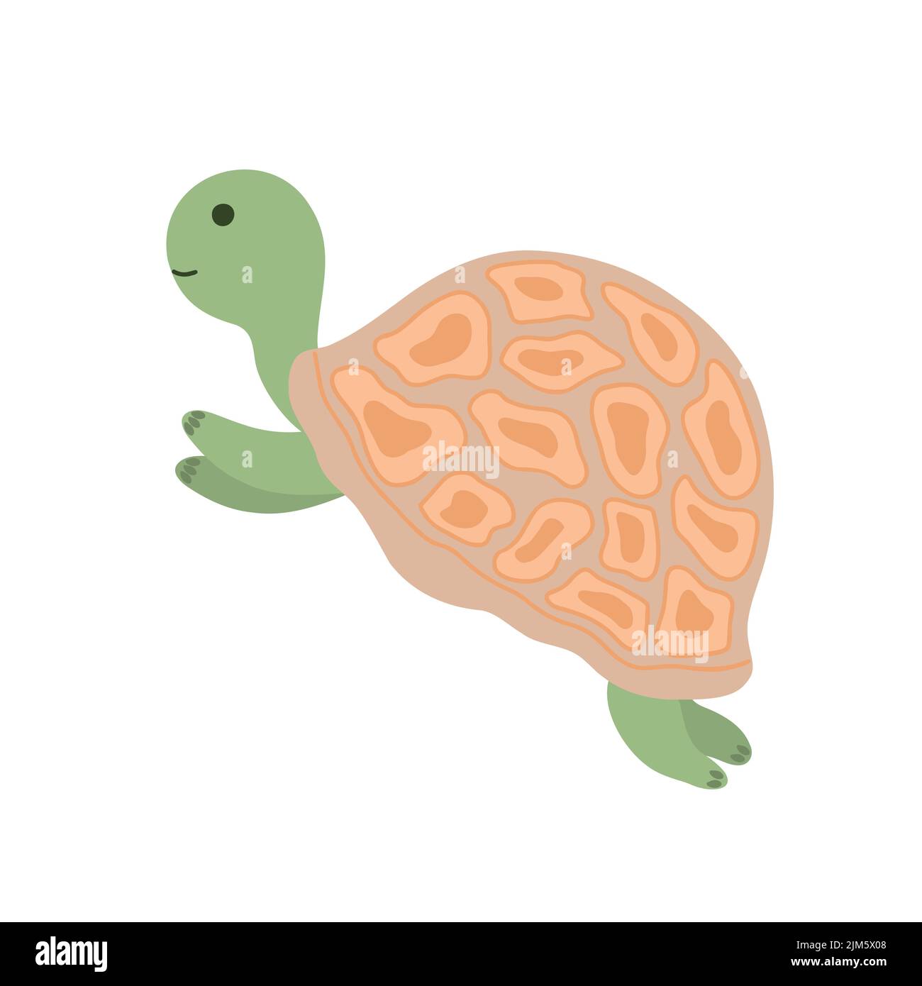 Dangerous sea life Cut Out Stock Images & Pictures - Alamy