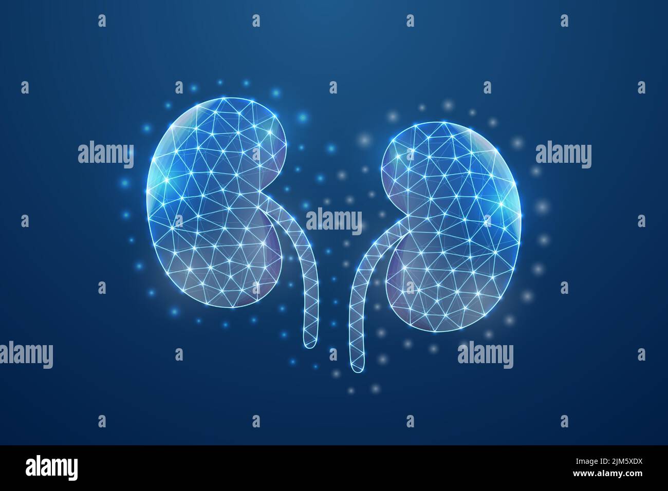 Kidneys 3d symbol in blue low poly style. Urinary, human ...