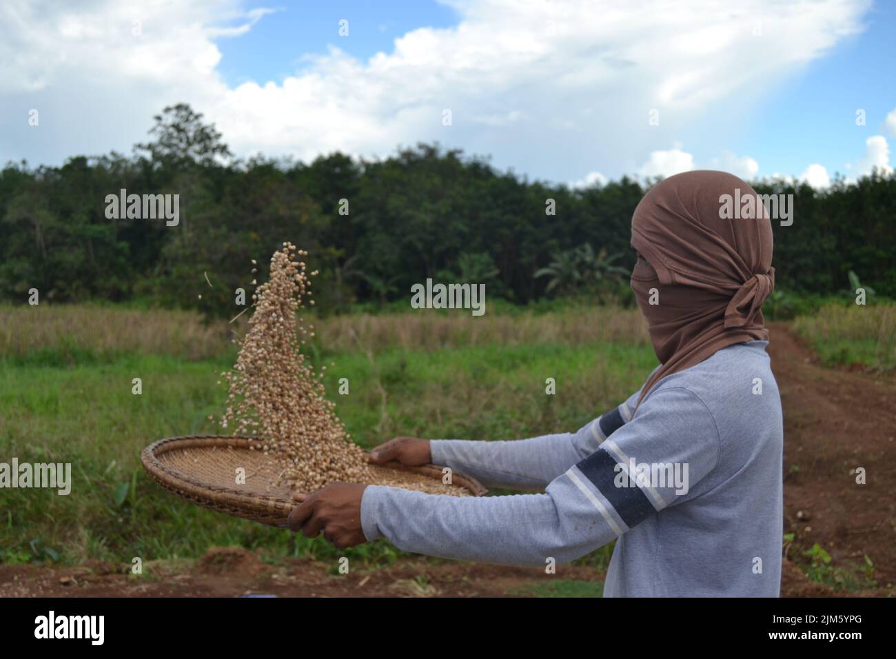 Winnower basket hi-res stock photography and images - Alamy