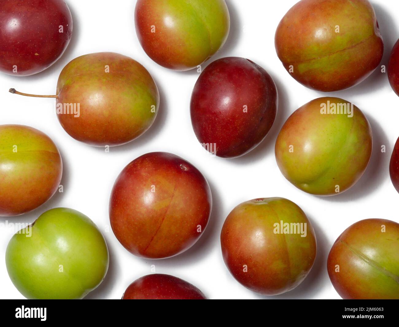Cherry plum at different stages of maturation. Plum variety. Red and ...