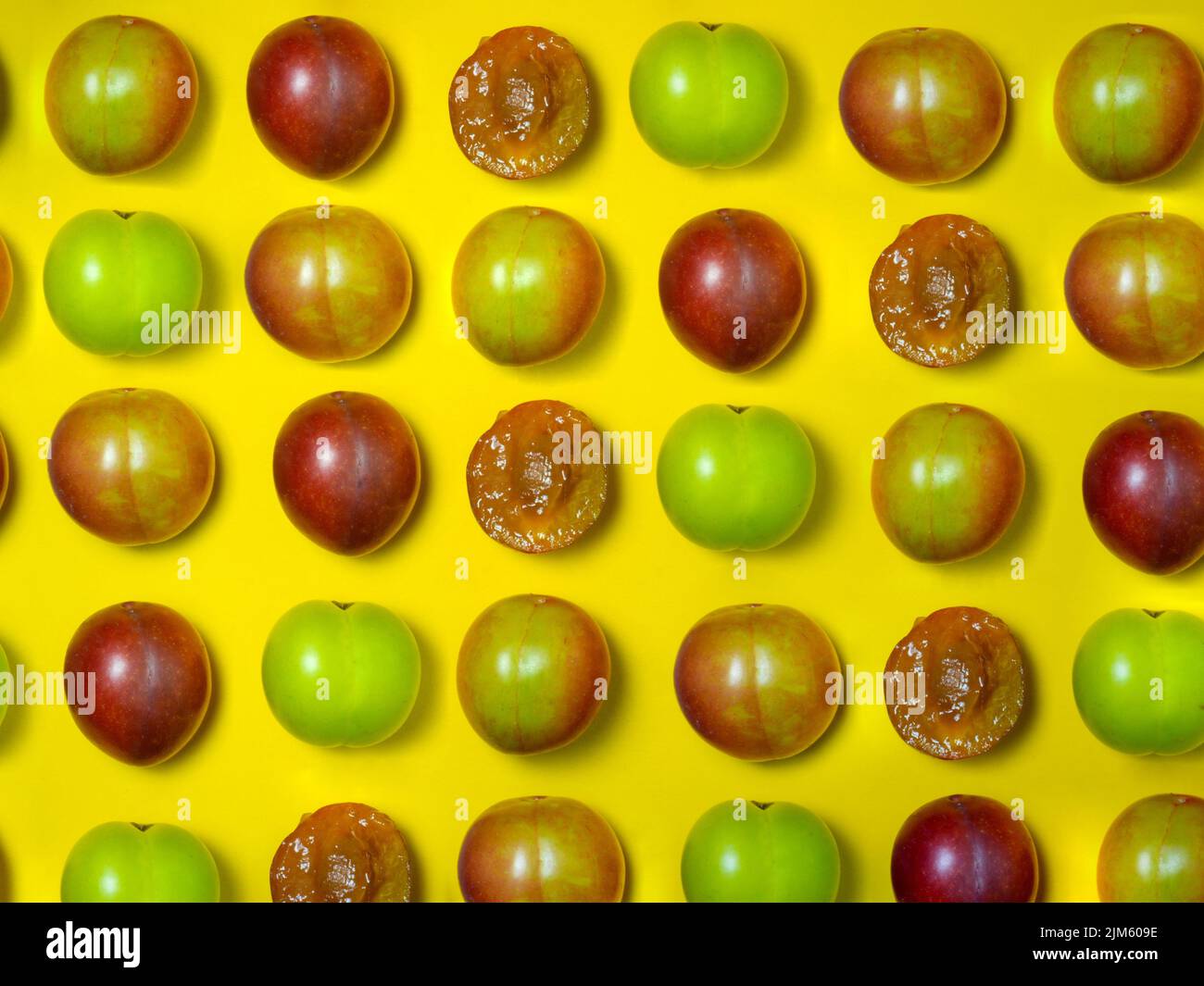 Cherry plum at different stages of maturation. Plum variety. Red and ...
