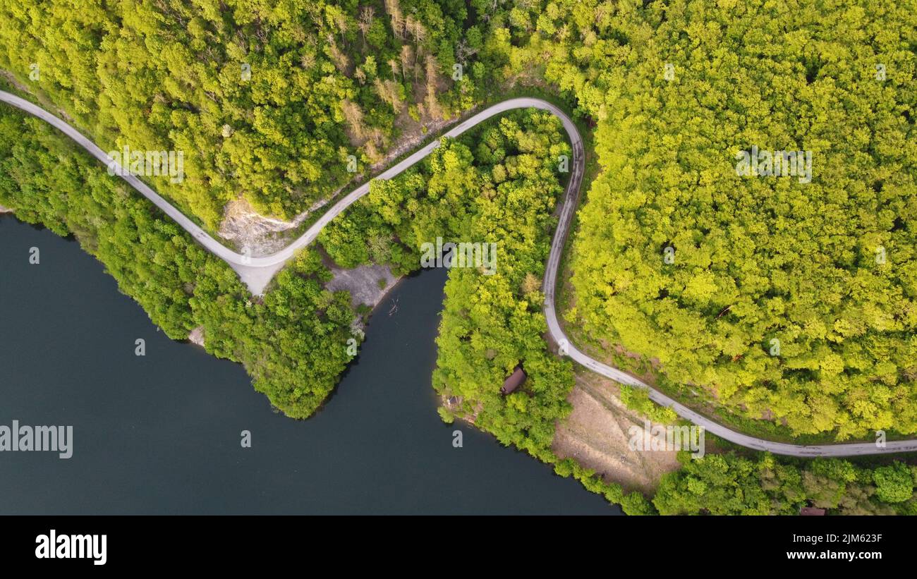 An aerial top view of a winding road amidst lush green rainforest by a ...