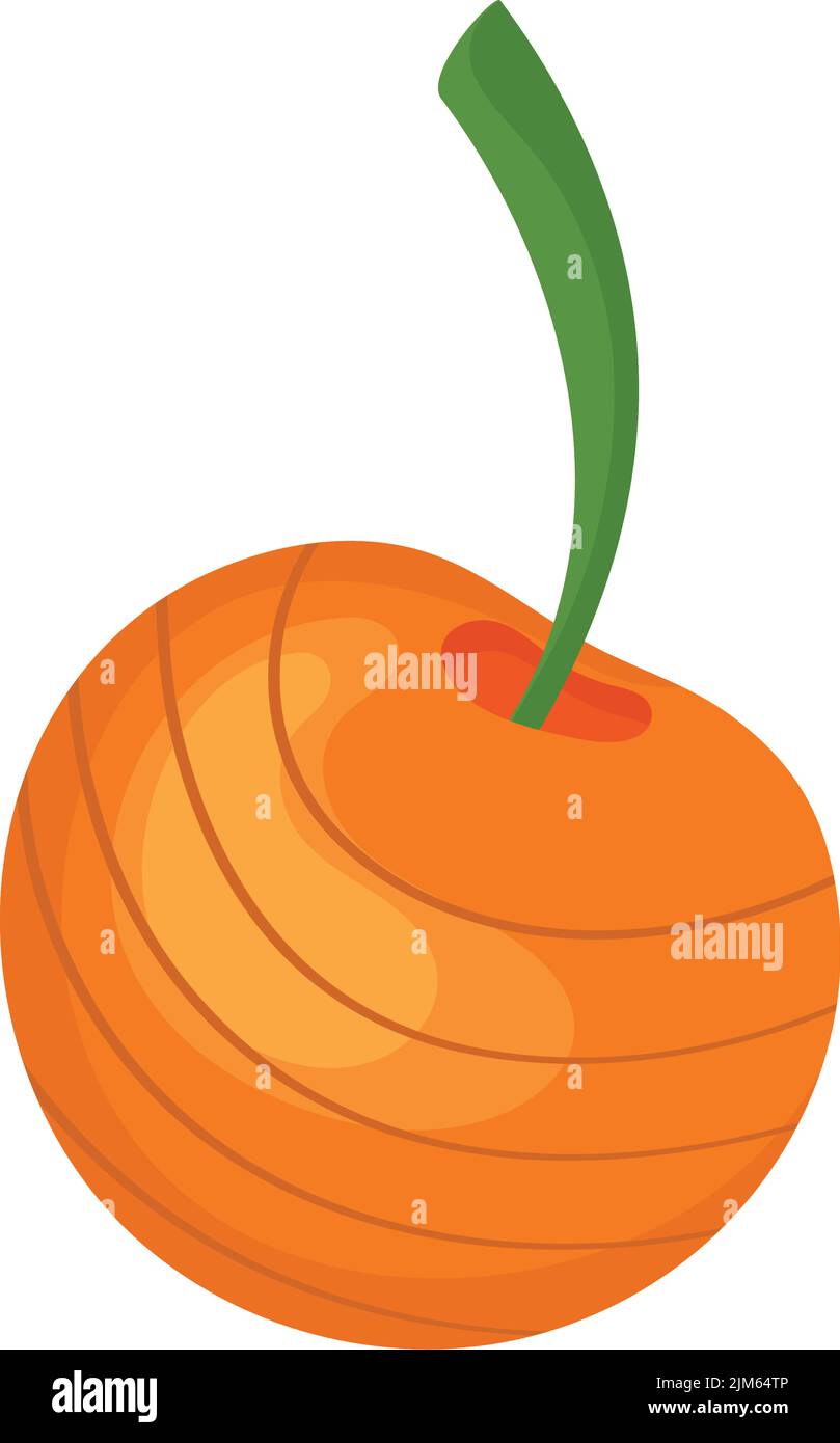 cape gooseberry fresh fruit Stock Vector Image & Art - Alamy