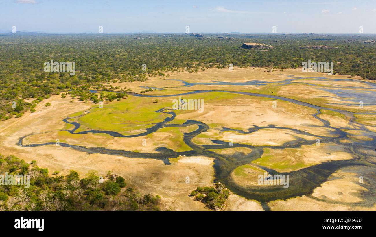 Tropical landscape: Lakes and swamps in the national park among ...