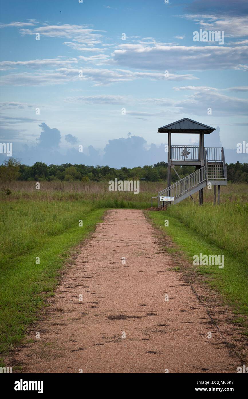 A vertical shot of a dirt path leading to a bird viewing platform with ...