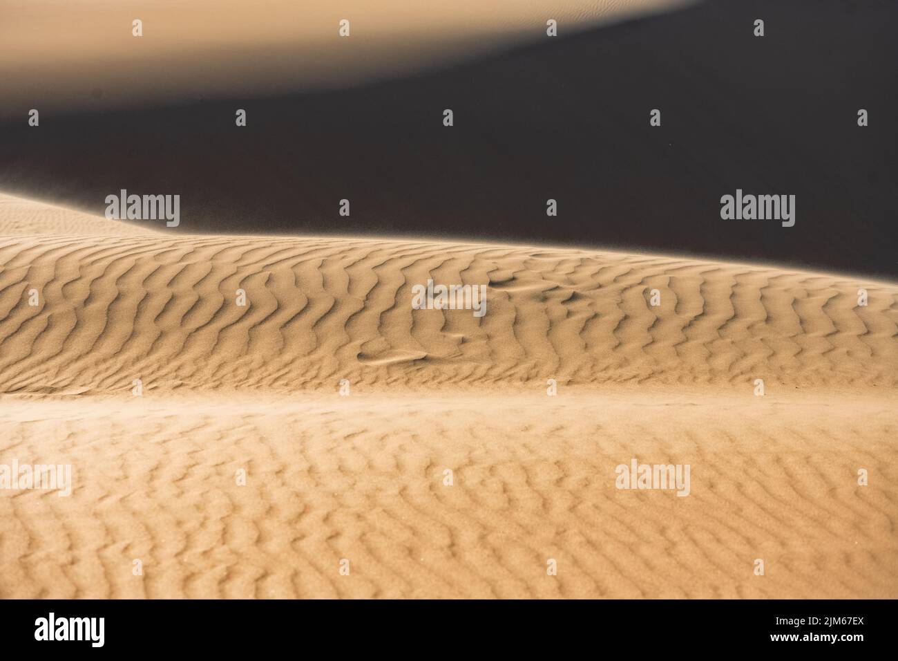 Namibia, the Namib desert, graphic landscape of yellow dunes ...