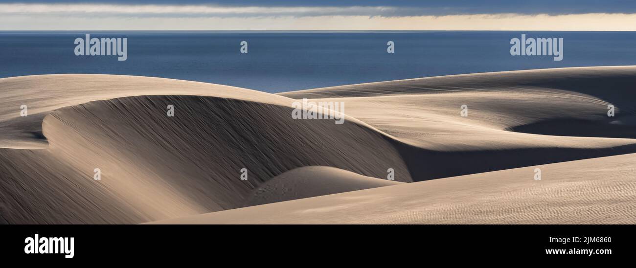 Namibia, the Namib desert, landscape of yellow dunes falling into the ...