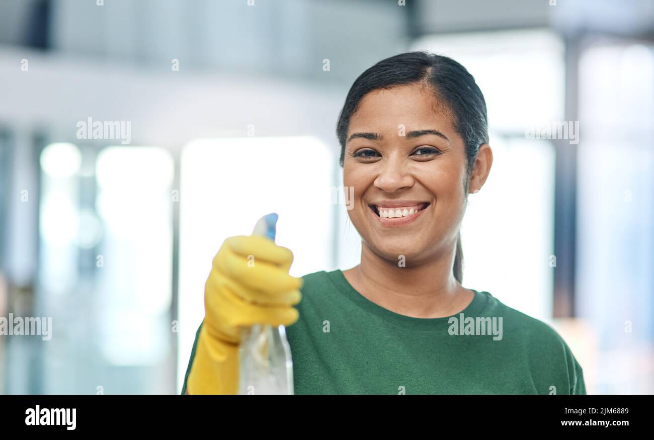 No stress, our cleaning service will handle the mess. Portrait of a ...