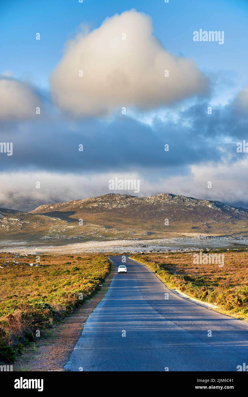 The wilderness of Cape Point National Park. Road through the wilderness ...