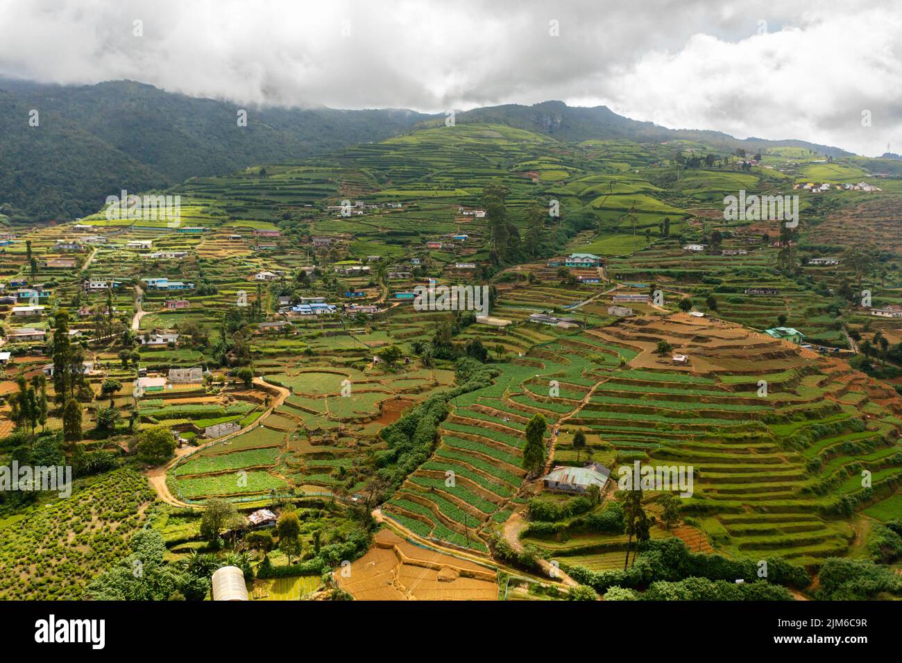 Tea terraces and farmer's houses in the mountains. Tea plantations ...