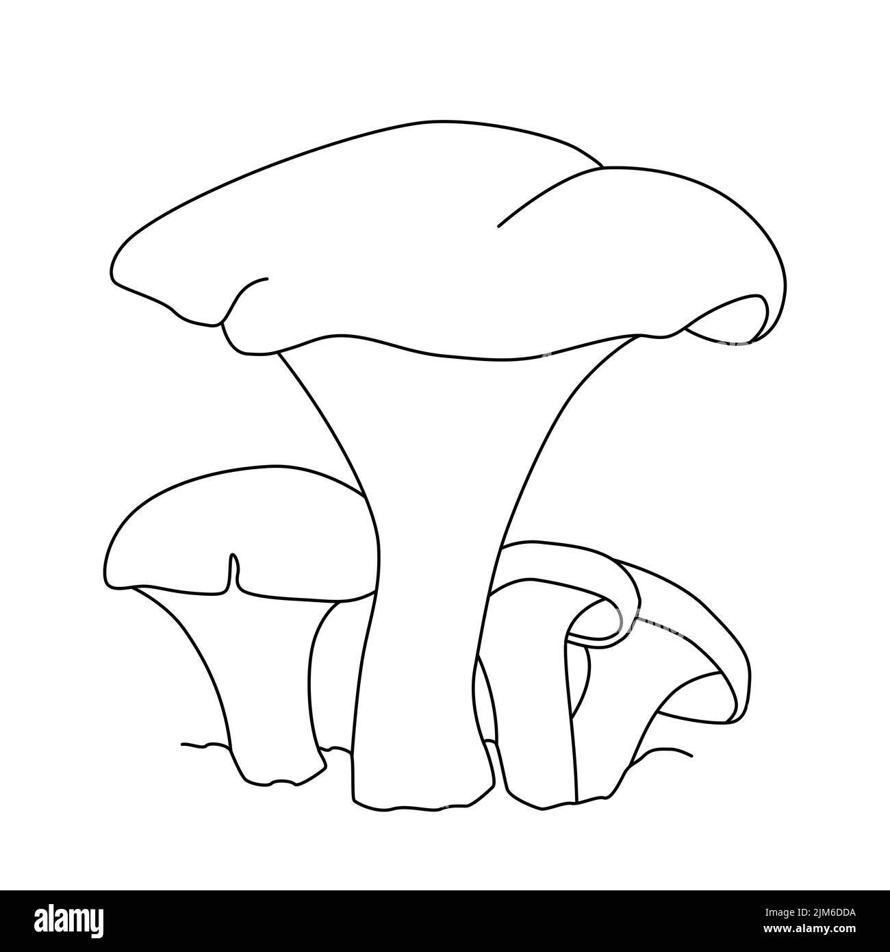 Detailed star logo Stock Vector Images - Alamy