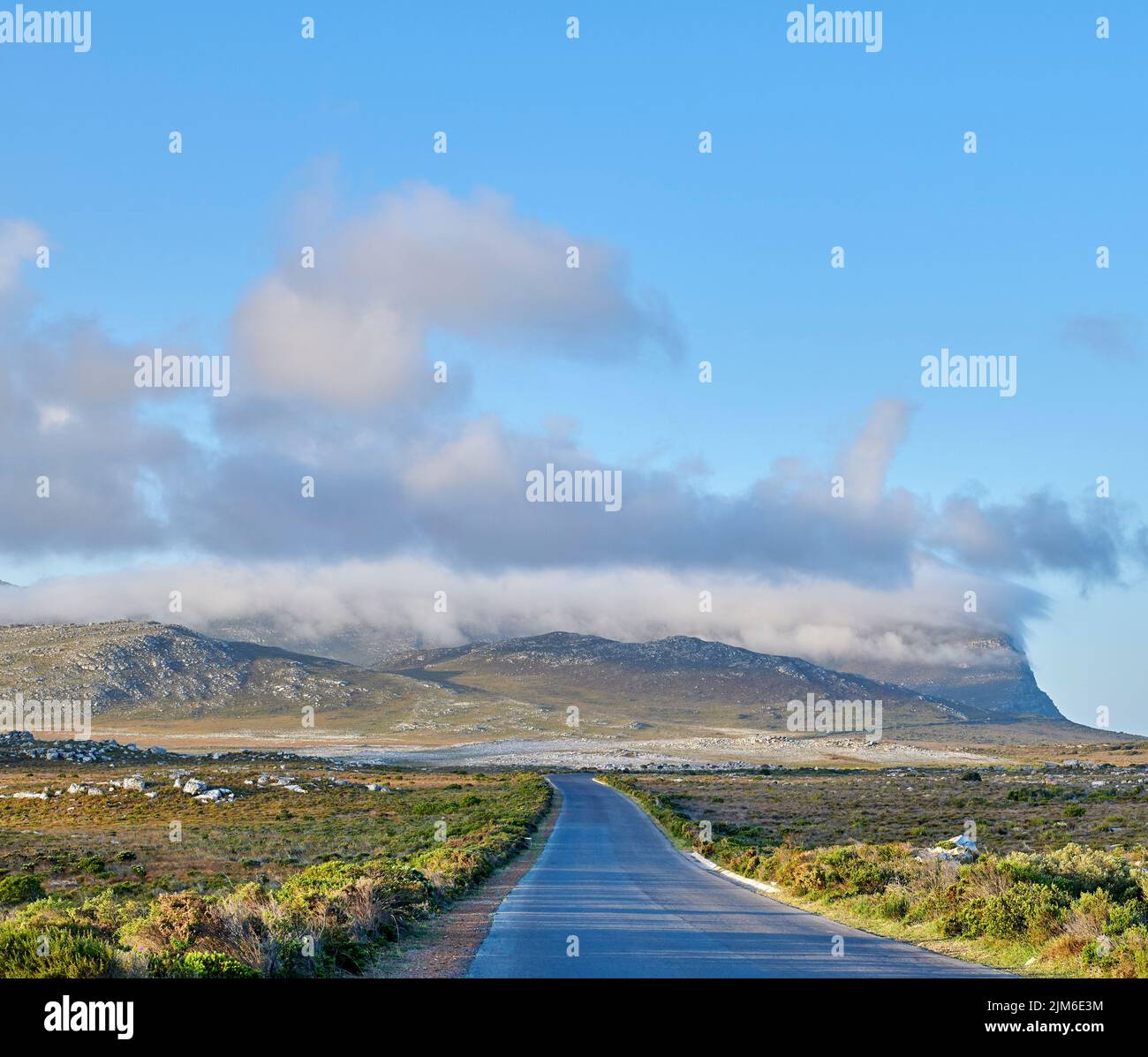 The wilderness of Cape Point National Park. The wilderness of Cape ...