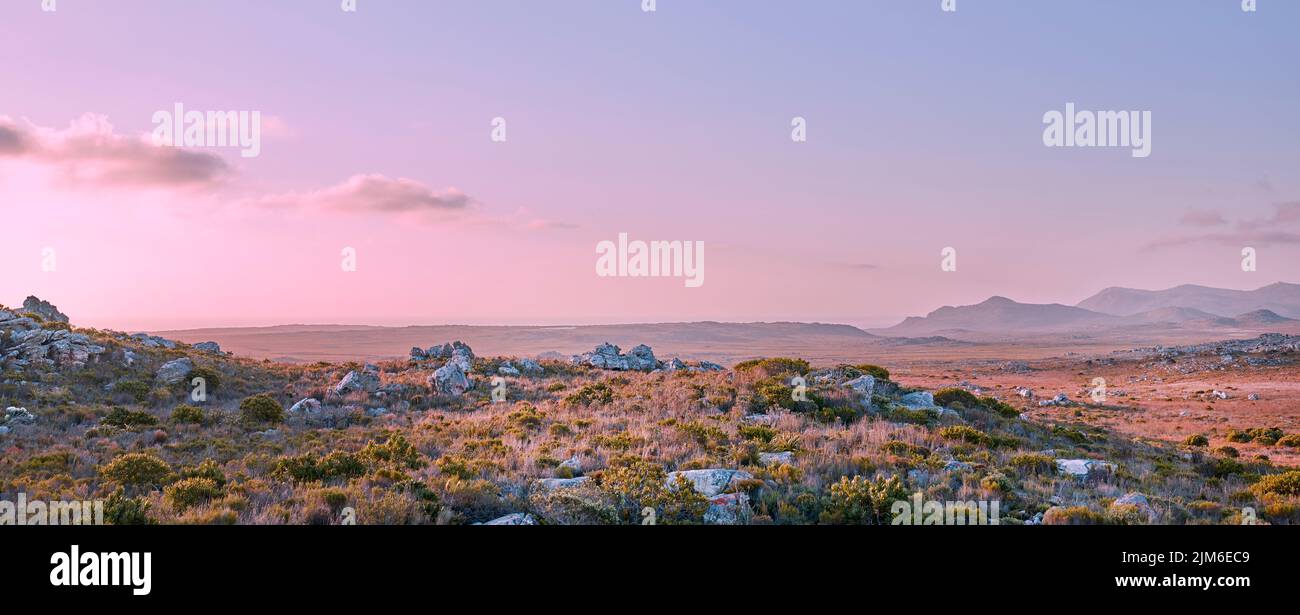 The wilderness of Cape Point National Park. The wilderness of Cape ...