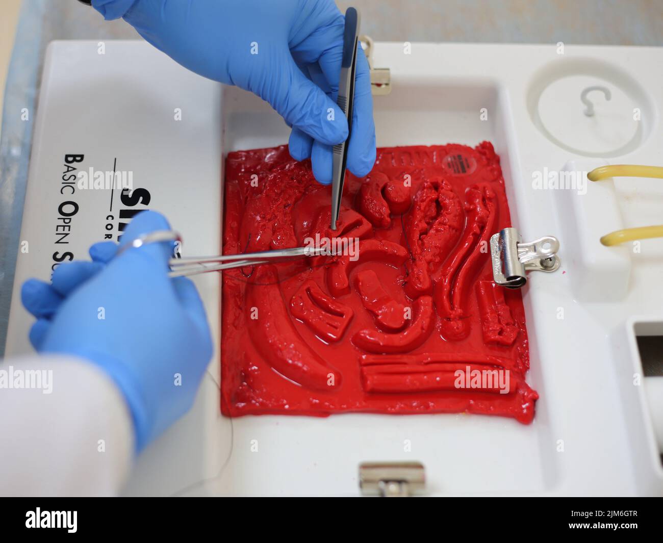 A student is learning basic surgical procedures. HAL patient manikin ...