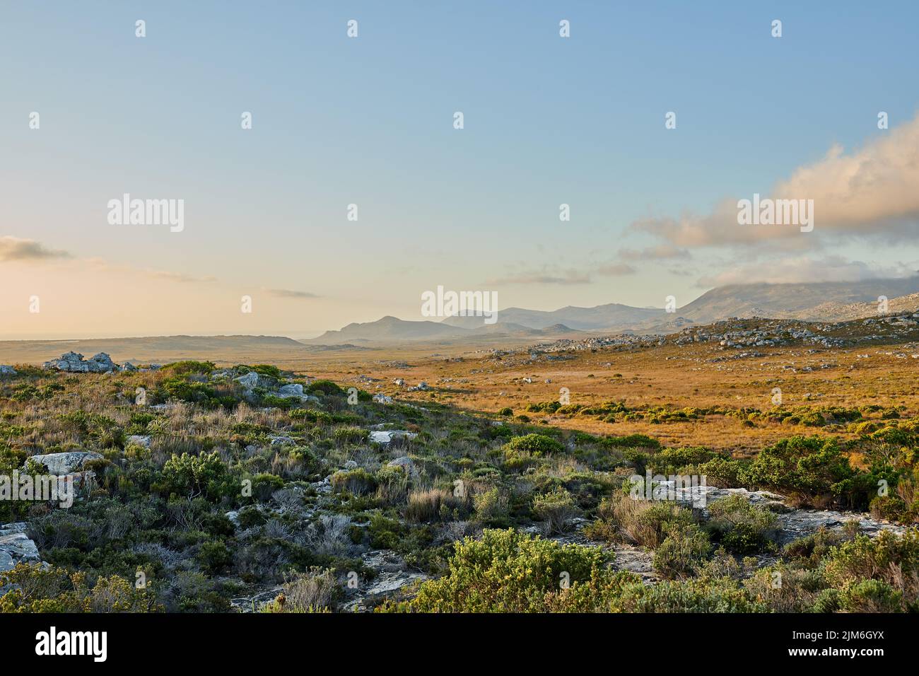 The wilderness of Cape Point National Park. The wilderness of Cape Point National Park, Western ...