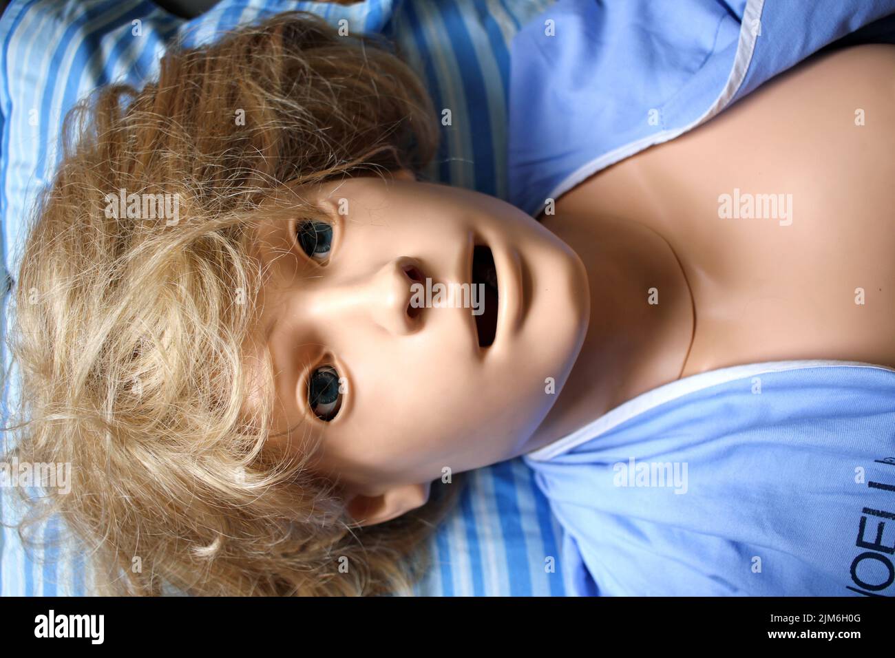 A birthing simulator is seen at Odessa National Medical University. HAL patient manikin with ...