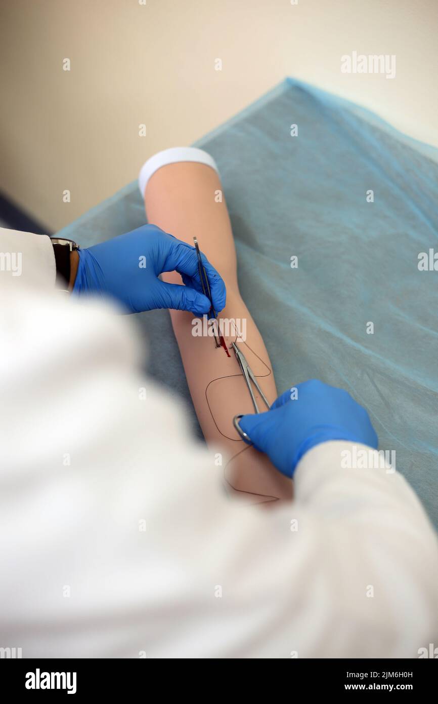 A student is learning basic surgical procedures. HAL patient manikin ...