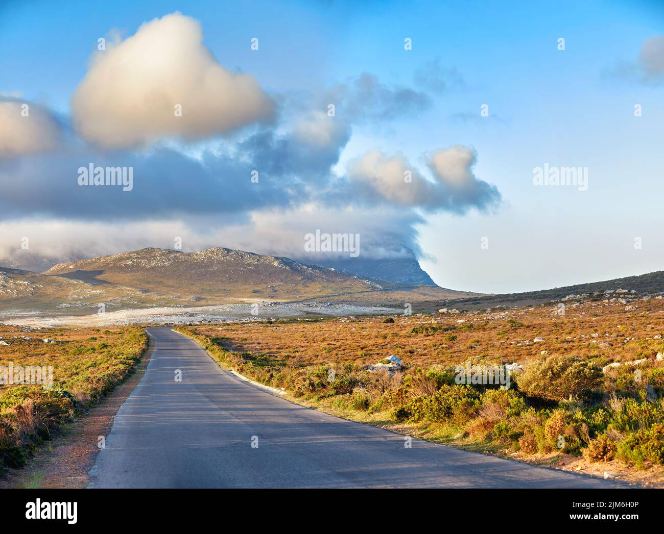 The wilderness of Cape Point National Park. The wilderness of Cape ...