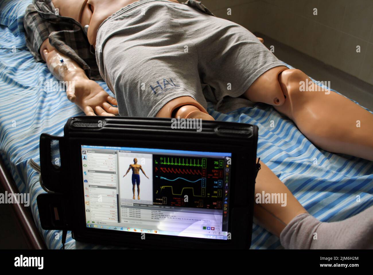 Patient simulator and monitor for data correction seen at Odessa ...