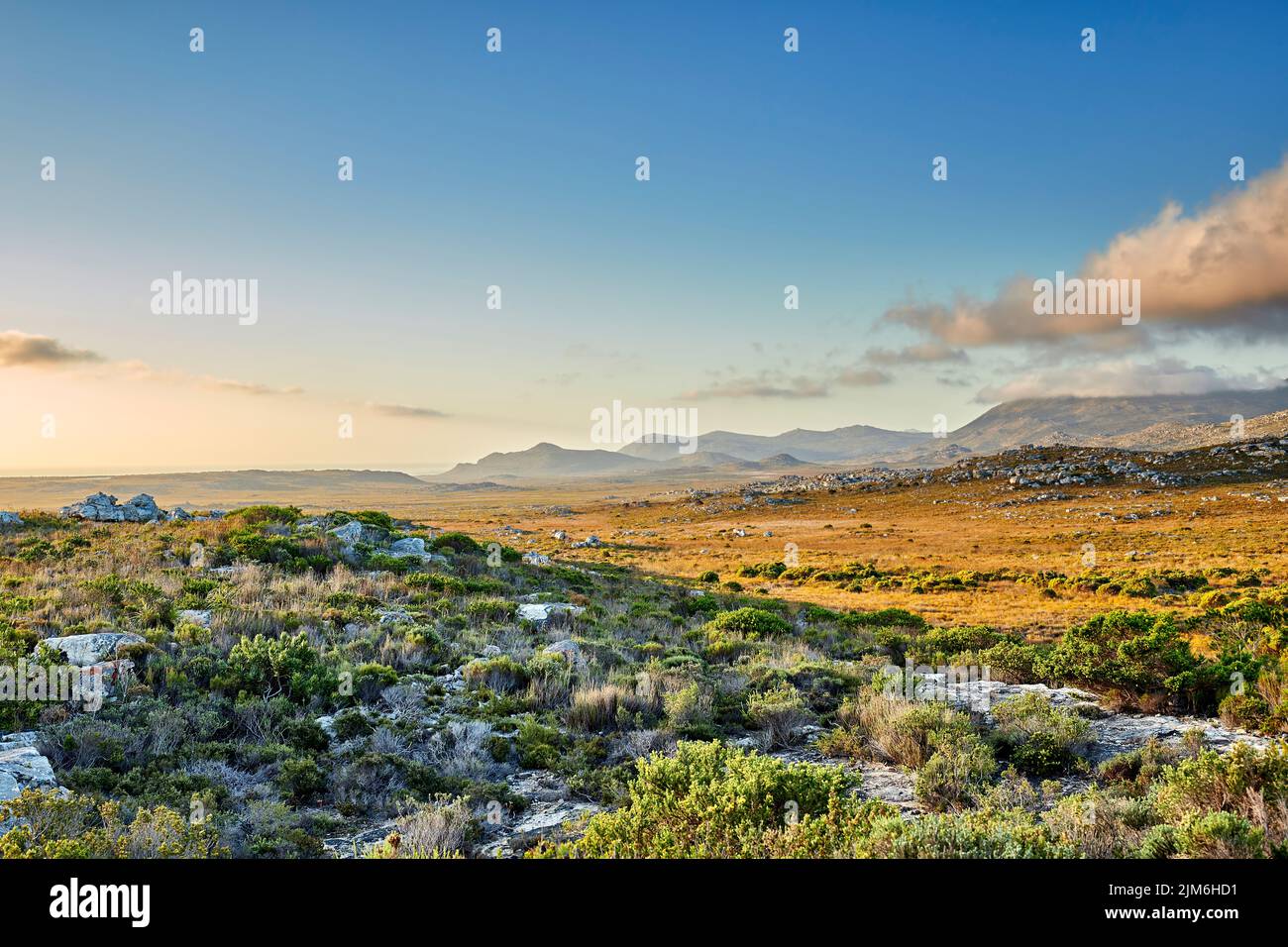 The wilderness of Cape Point National Park. The wilderness of Cape ...