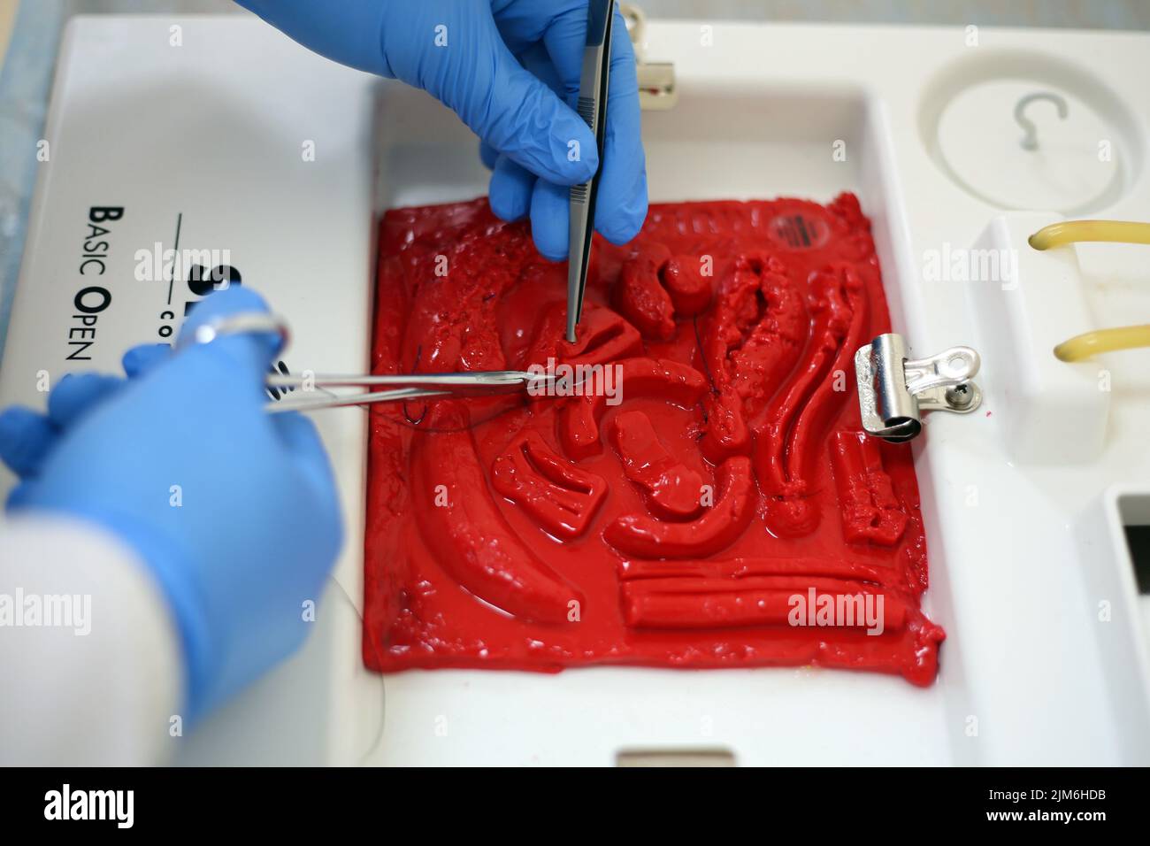 The student's hands are seen doing stitches. HAL patient manikin with ...