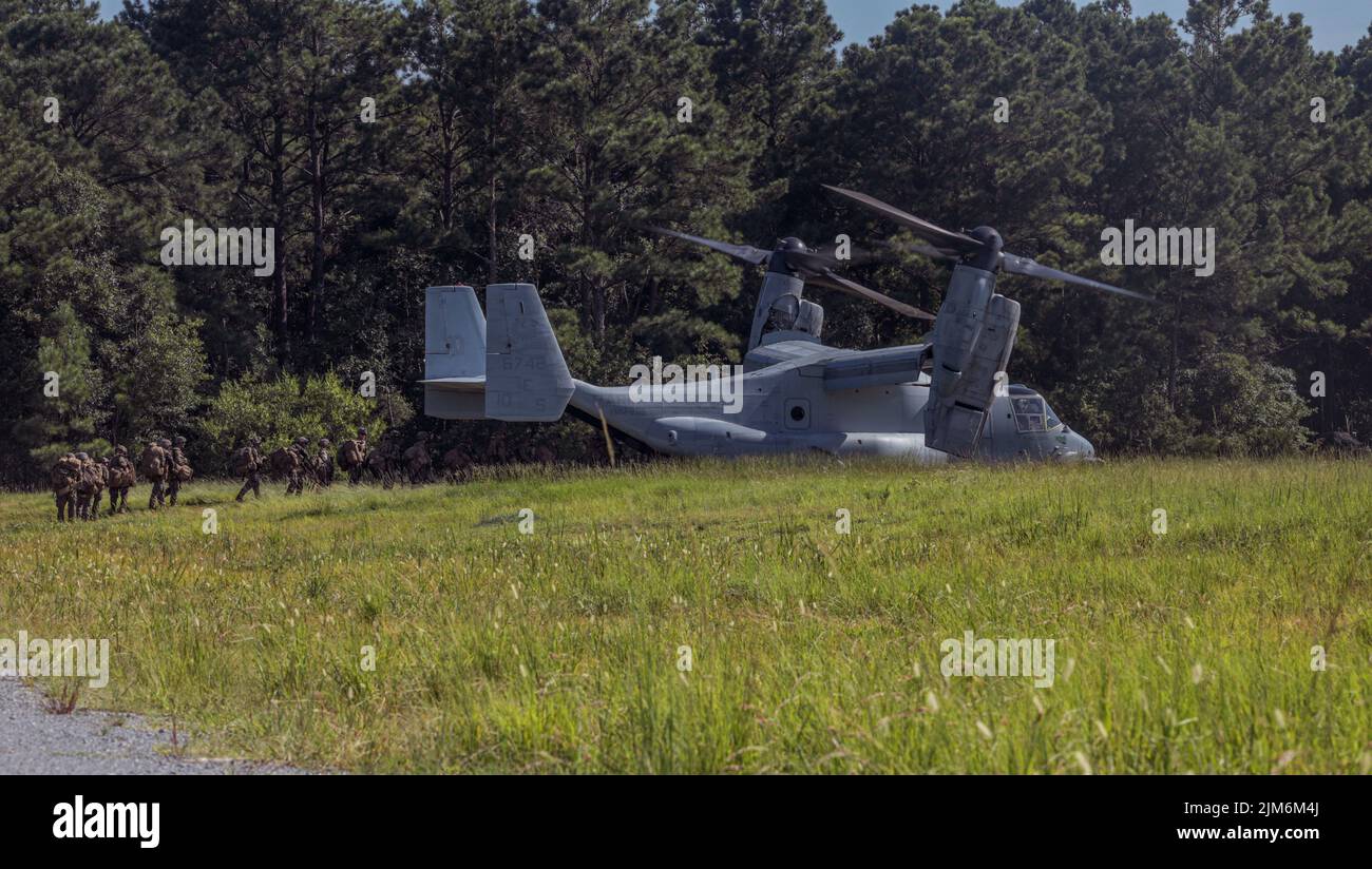 U.S. Marines with Alpha Company, 2d Light Armored Reconnaissance ...